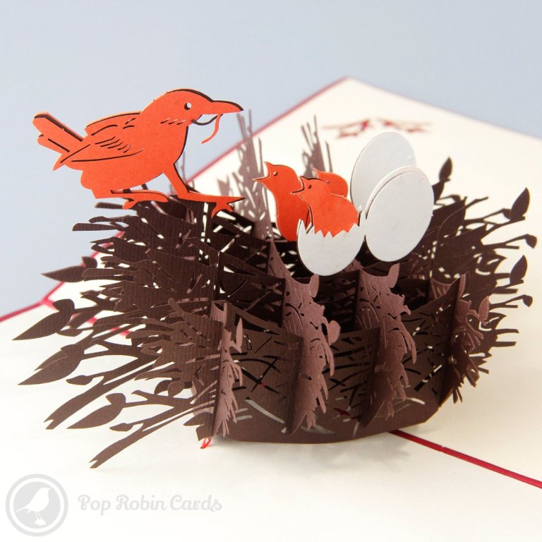 Pop Up Bird Cards | 3D Pop Up Cards | Pop Robin Cards UK