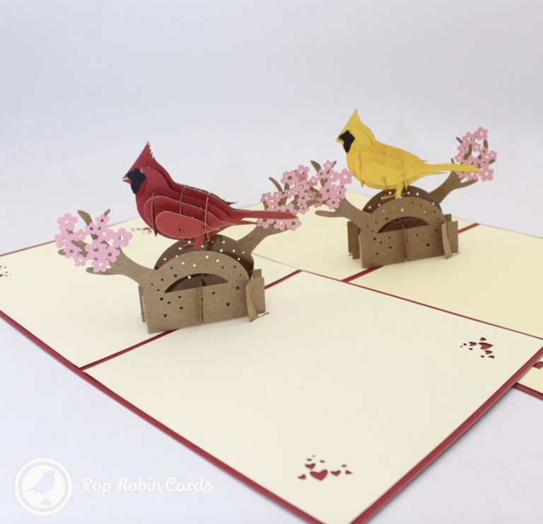Pop Up Bird Cards | 3D Pop Up Cards | Pop Robin Cards UK
