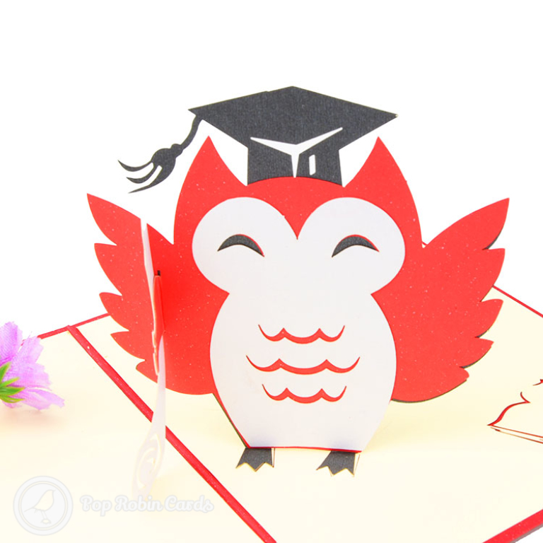 Pop Up Congratulations Cards for Student | 3D Pop Up Cards