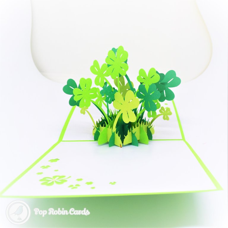 Pop Up Good Luck Cards for Sister | 3D Pop Up Cards