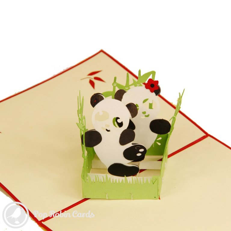 Pop Up China Cards | 3D Pop Up Cards | Pop Robin Cards UK