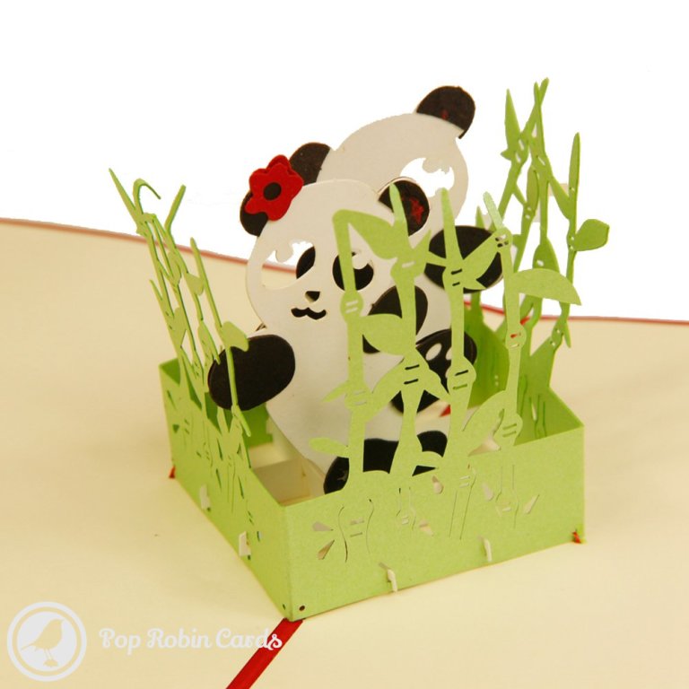 Panda Handmade 3D Pop-Up Card | Pop Robin Cards UK