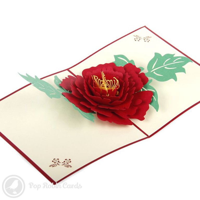 Pop Up Flower Cards | 3D Pop Up Cards | Pop Robin Cards UK