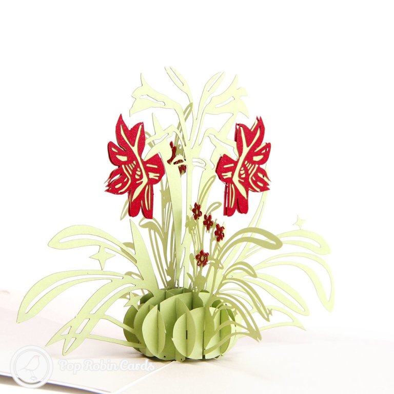 Pop Up Birthday Cards | 3D Pop Up Cards | Pop Robin Cards UK