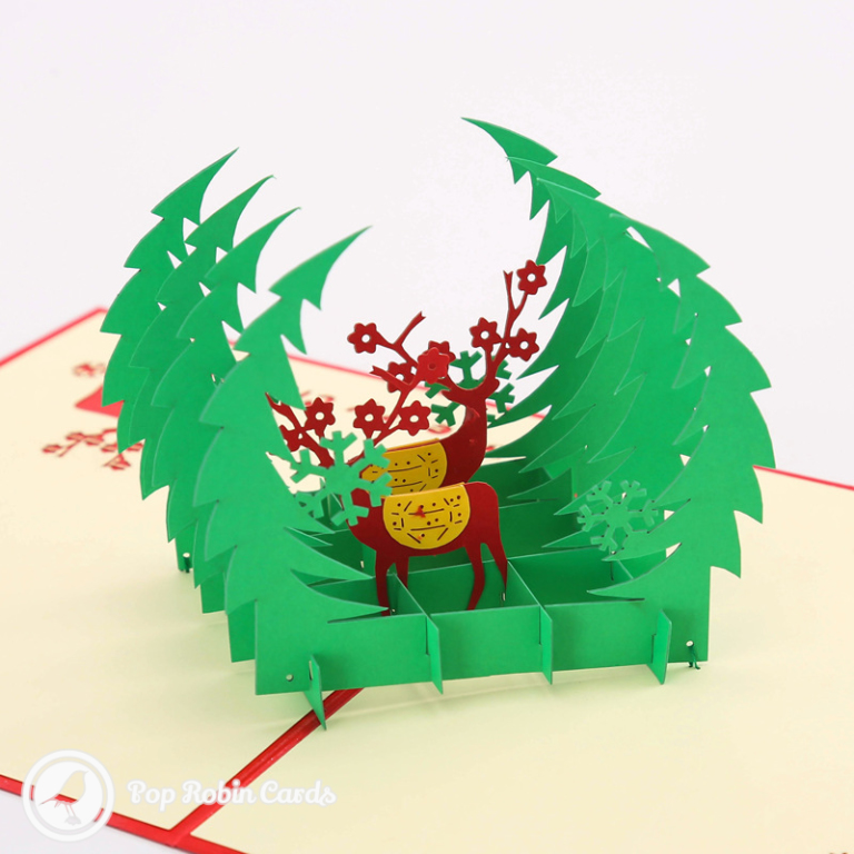 Pop Up Animal Cards | 3D Pop Up Cards | Pop Robin Cards UK