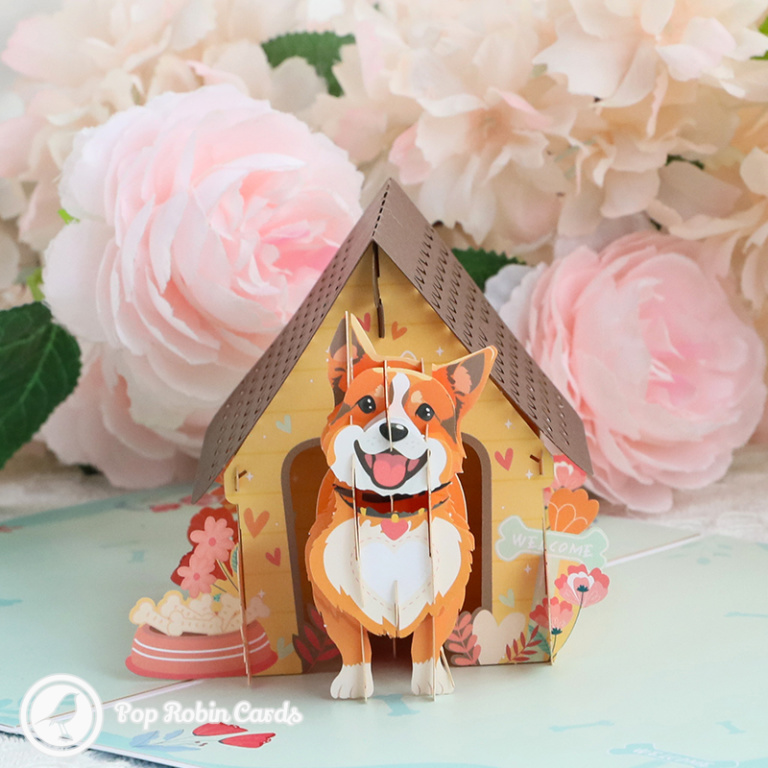 Pop Up Dog Cards | 3D Pop Up Cards | Pop Robin Cards UK